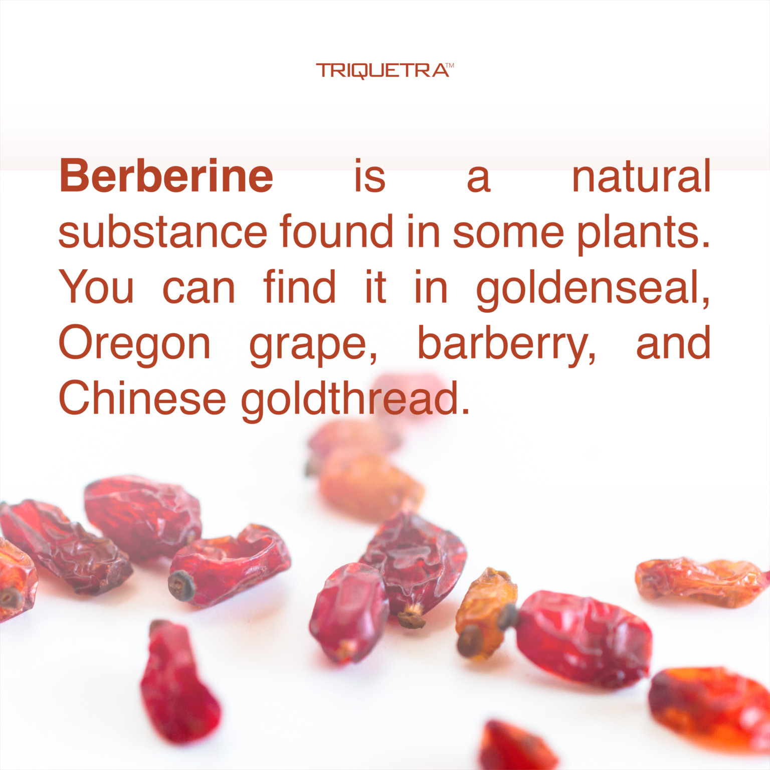 Berberine Benefits: How to Add This Powerful Supplement to Your Routine ...