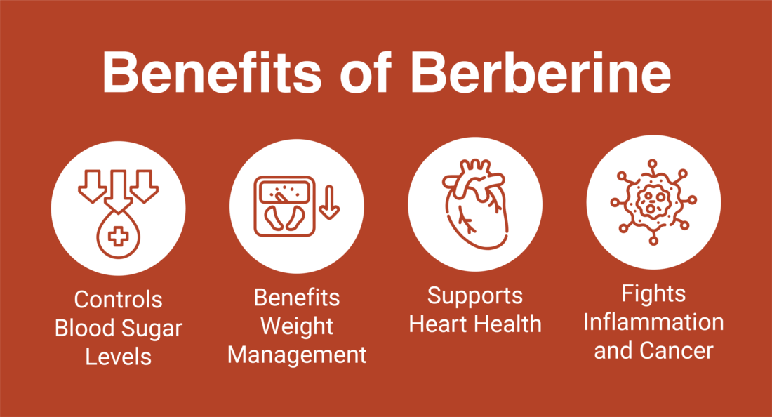 Berberine Benefits: How to Add This Powerful Supplement to Your Routine ...