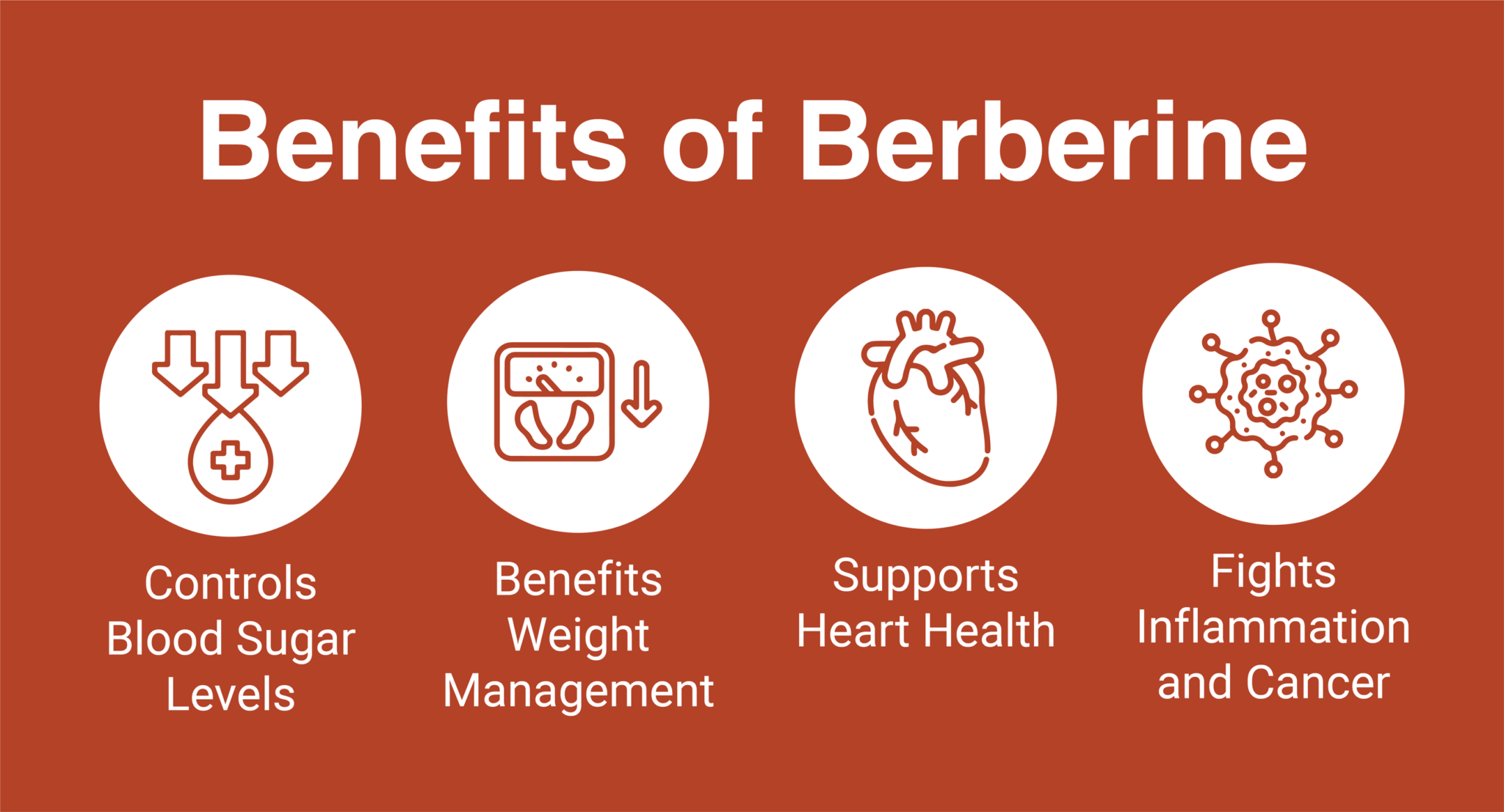 Berberine Benefits: How to Add This Powerful Supplement to Your Routine ...