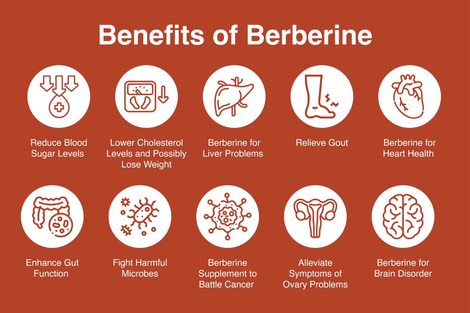 Berberine Supplement: 10 Potential Health Benefits From A Potent Plant ...