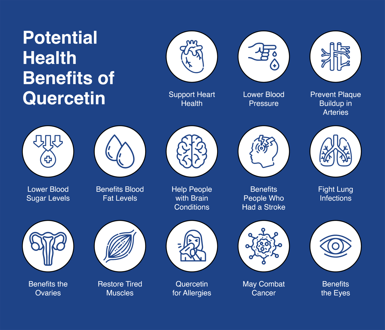 Quercetin Benefits Are More than Suppressing Inflammation and Boosting ...