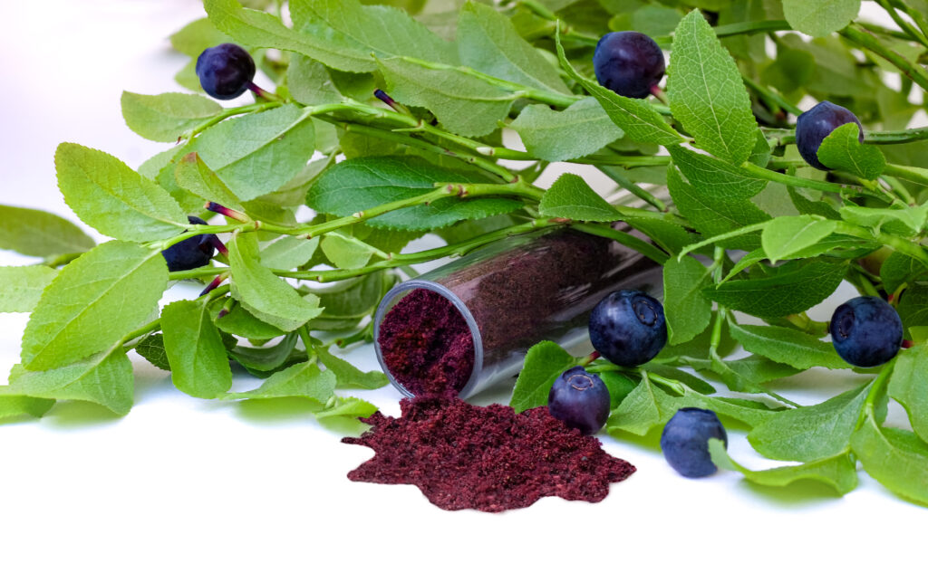 Quercetin Benefits Are More than Suppressing Inflammation and Boosting ...