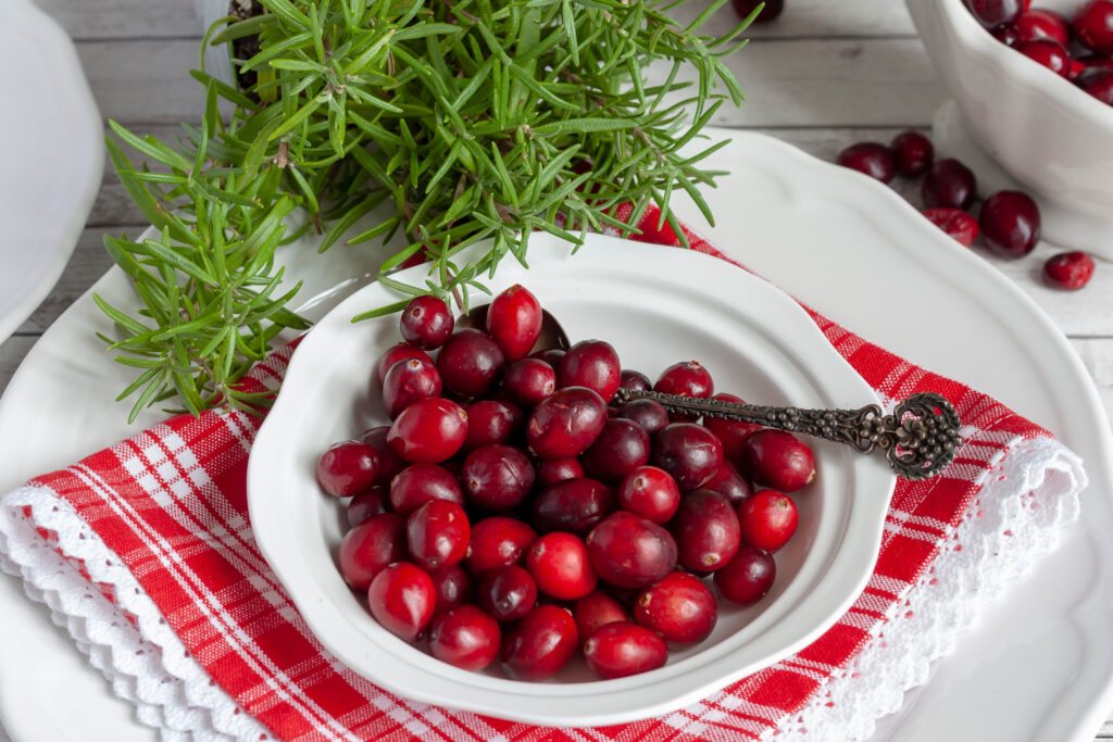 Cranberry and Its 8 Potential Health Benefits Exposed! Here are the ...