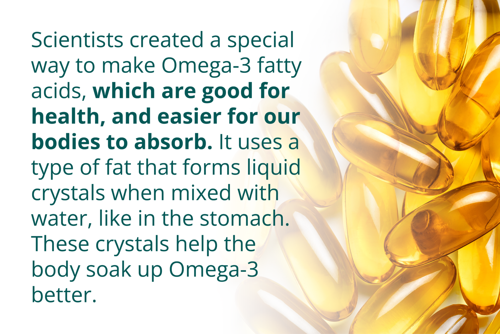 Omega-3 Fatty Acids Quick Guide to Kickstart Your So-Active Daily Habit ...