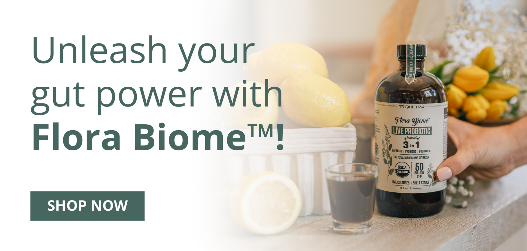 Gut Health: A Quick Taste Of Flora Biome’s Potential Benefits – Triquetra
