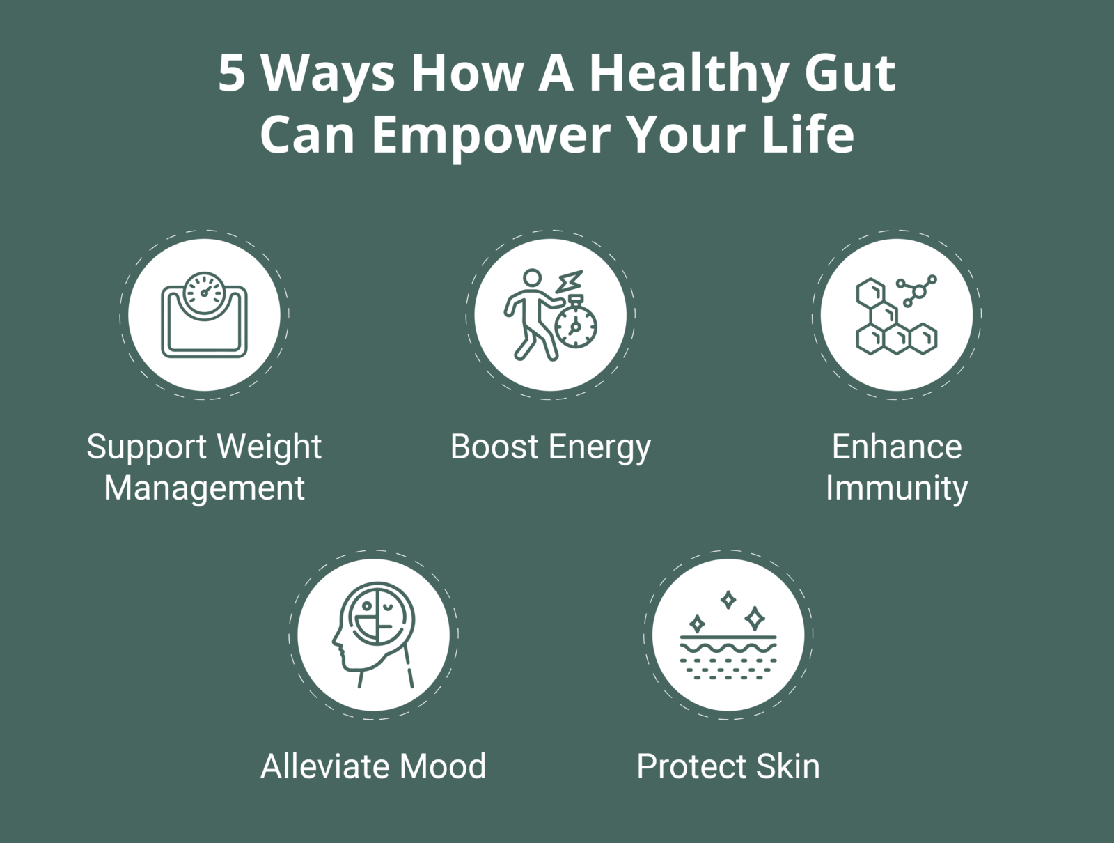 Gut Health: A Quick Taste Of Flora Biome’s Potential Benefits – Triquetra