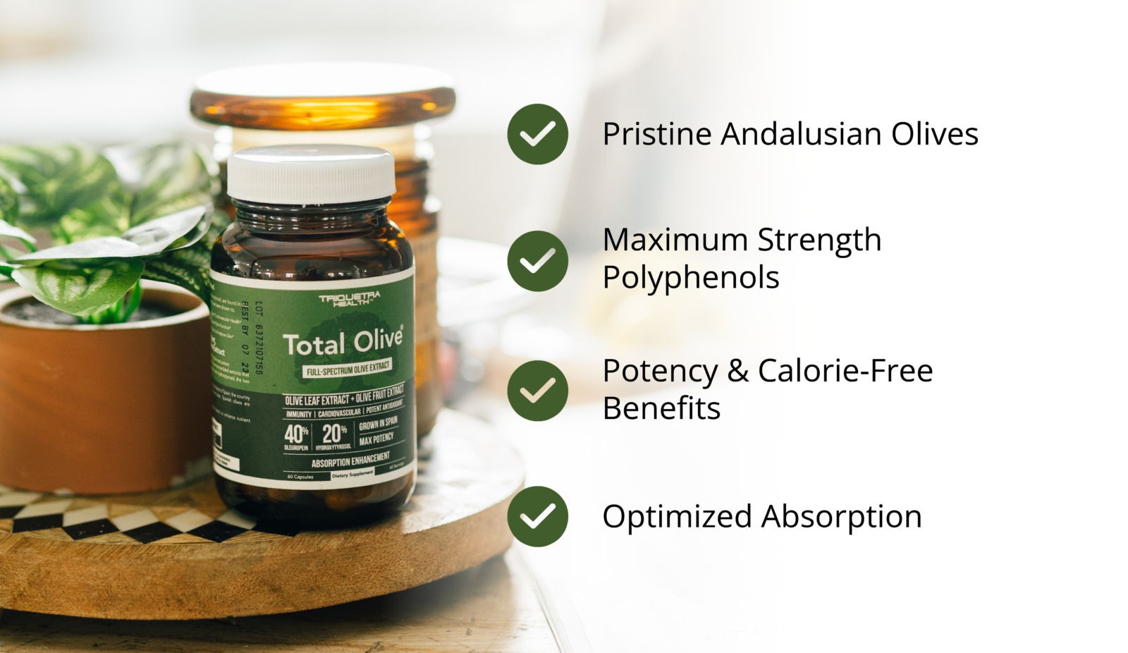 Harnessing the Health Benefits of Olive Oil – Triquetra