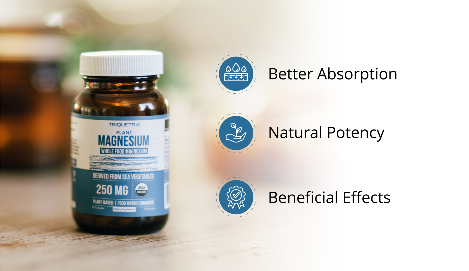 Know Why Plant Magnesium Supplements Are Vital to Vibrant Health ...